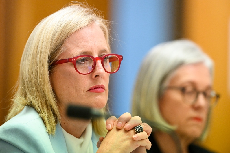 Gallagher explains how Labor arrived at $3b consultancy spend cut