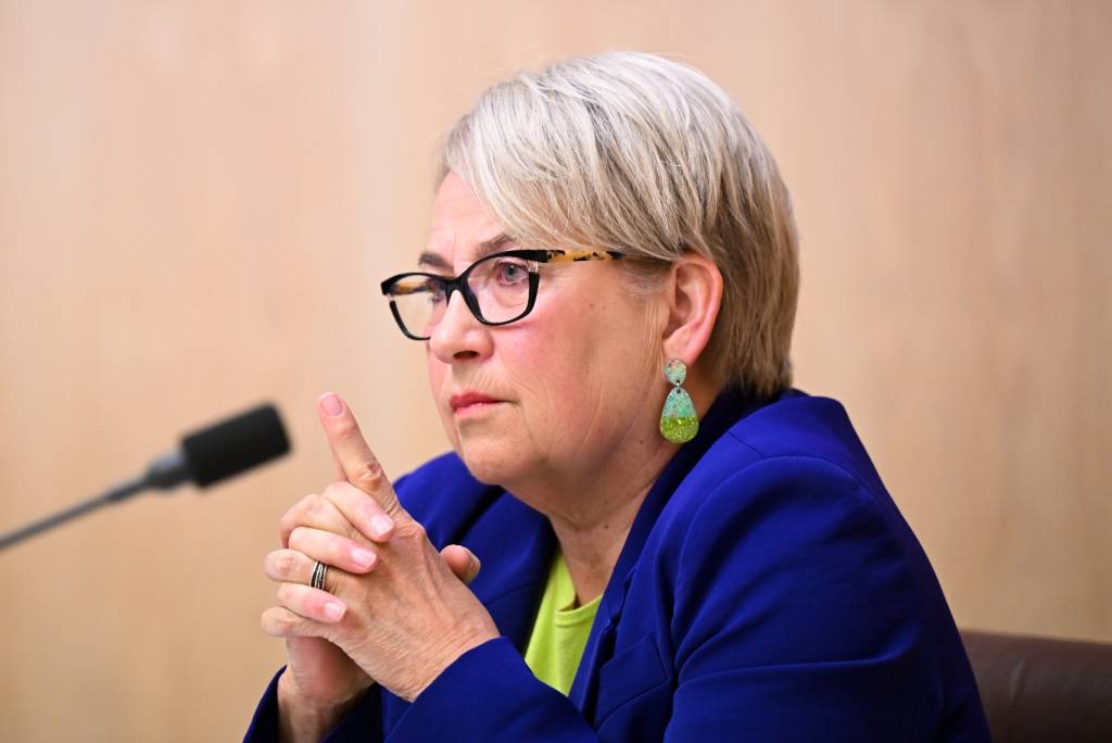 Pocock calls for government to be hungrier for APS reform