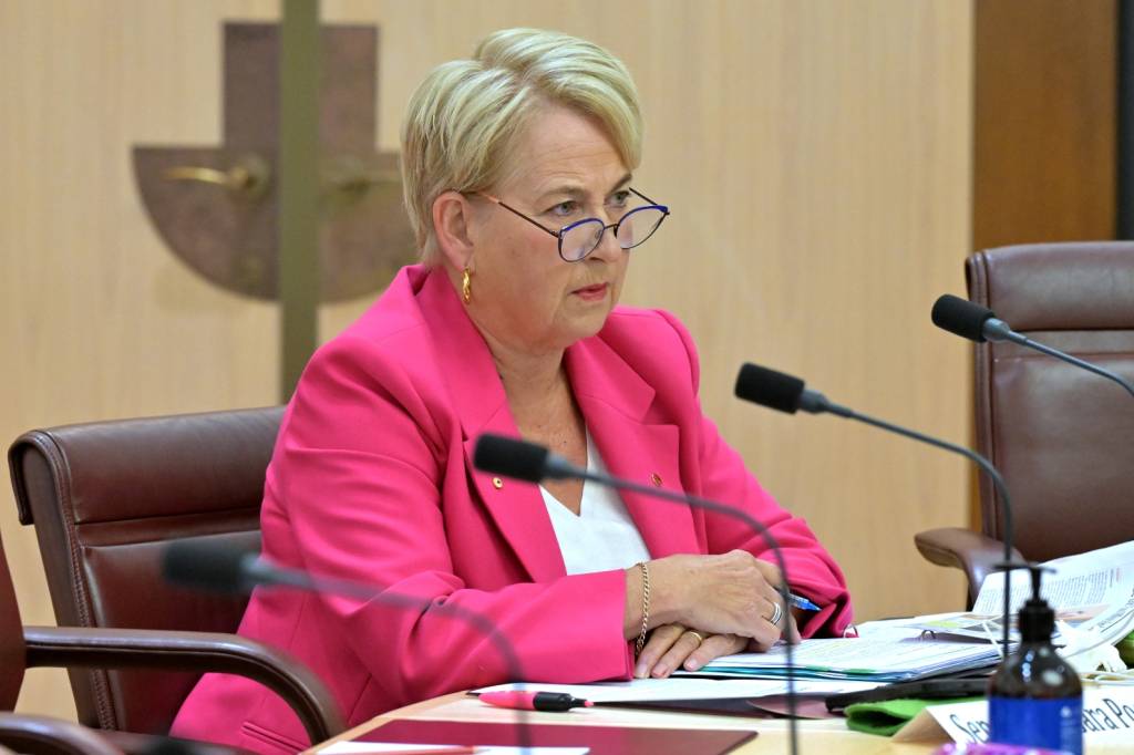 Pocock says APS estimates’ homework should be more detailed