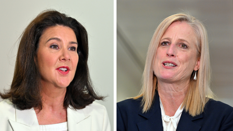 Katy Gallagher sorry politicians are politicising the public service