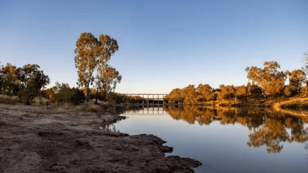 Fish still floundering as Murray-Darling plan delivers mixed results
