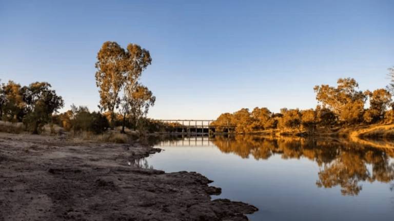 More Murray-Darling Basin areas labelled ‘critically endangered’
