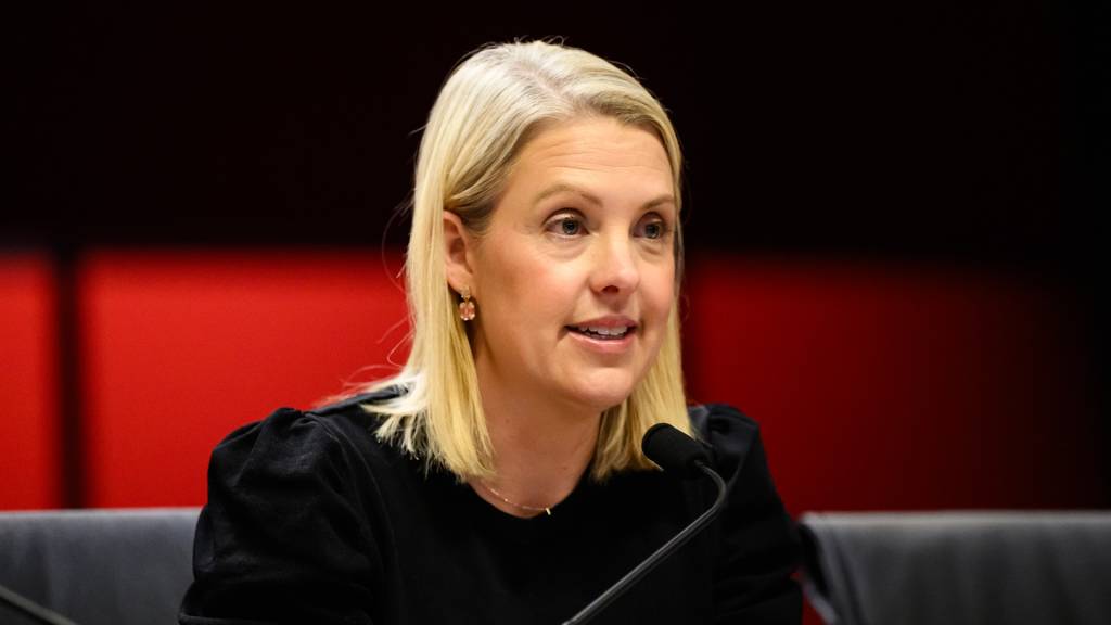 Call for childcare commission to address 'deep system failures'
