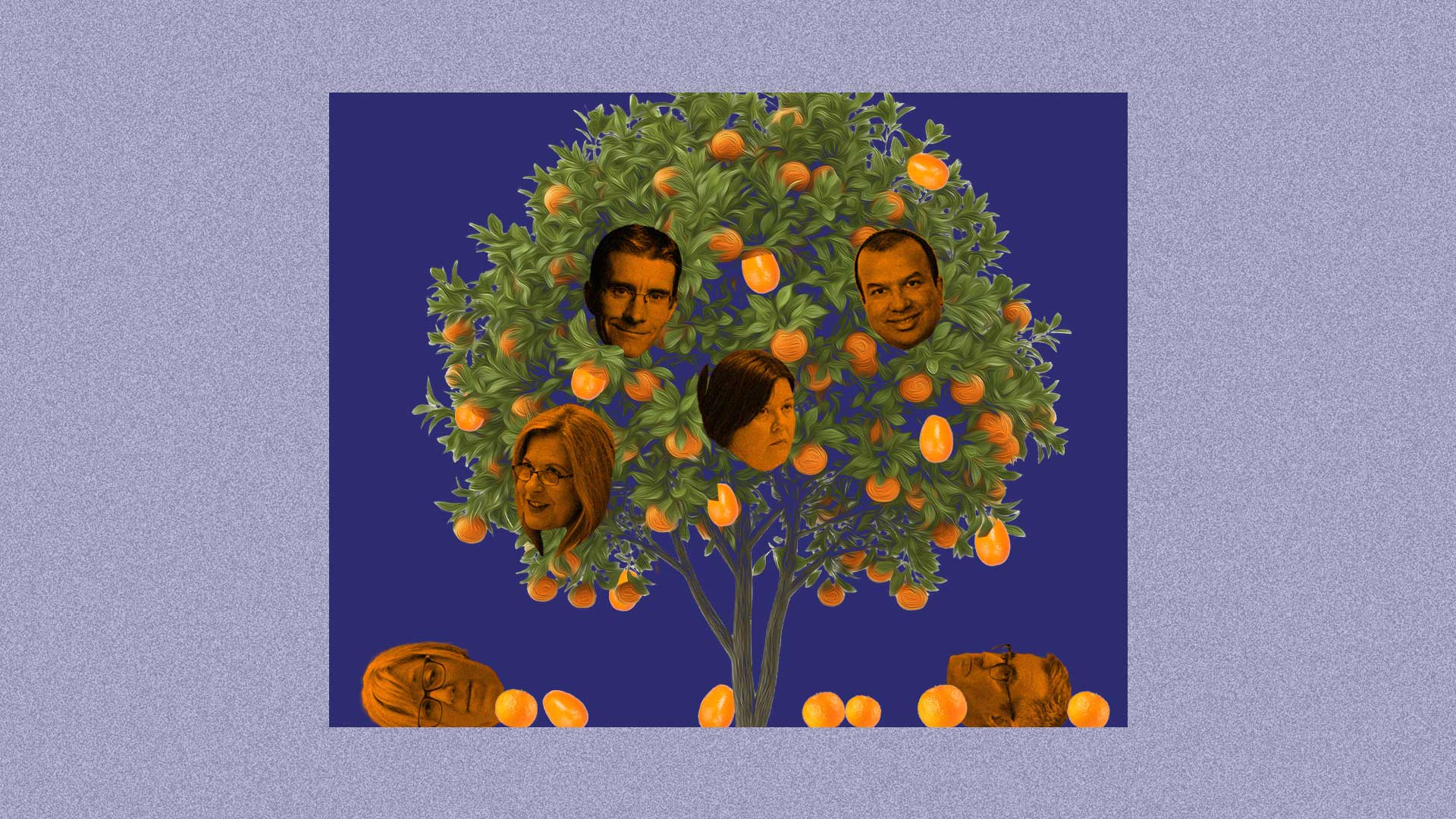Top jobs beckon fearless cumquats and mandarins