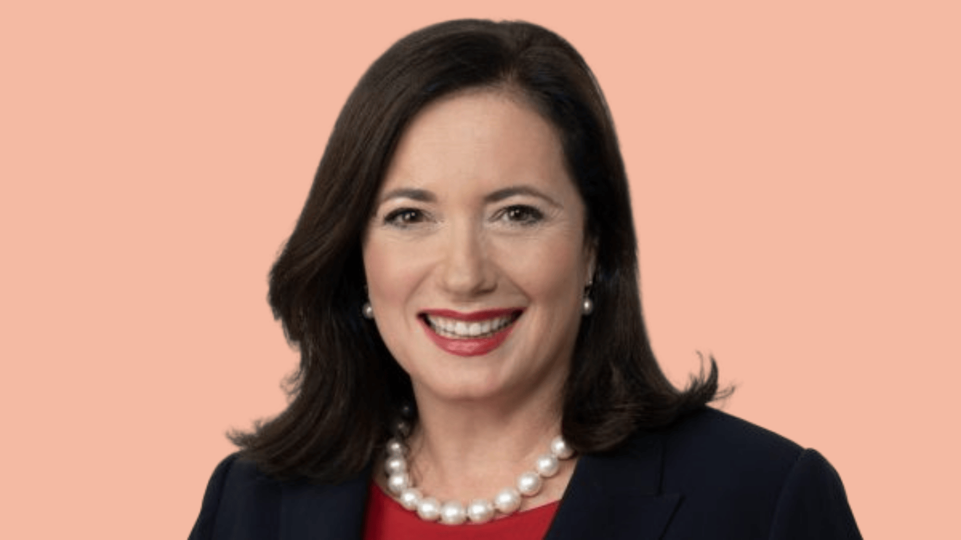 Harris named ‘fuel tsar’ as ACCC probes anti-competitive conduct by ...