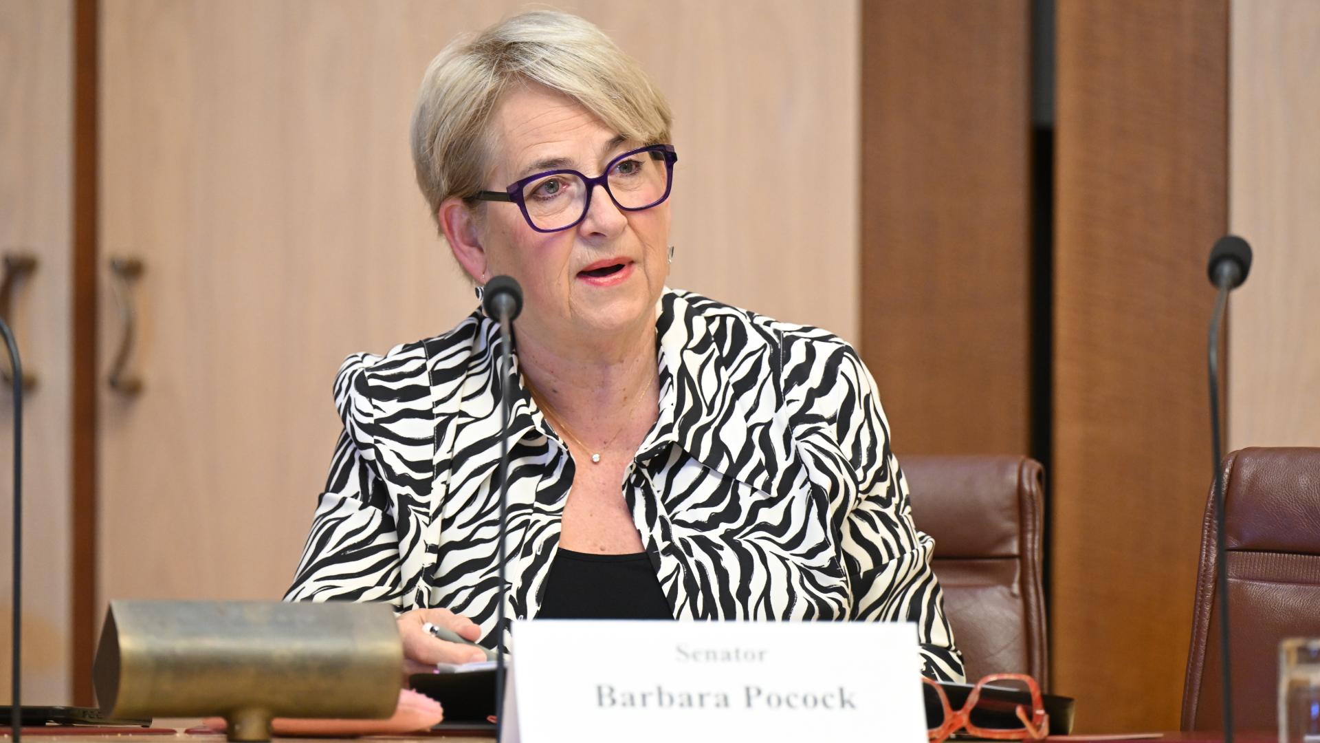 Pocock chases KPMG during Finance estimates
